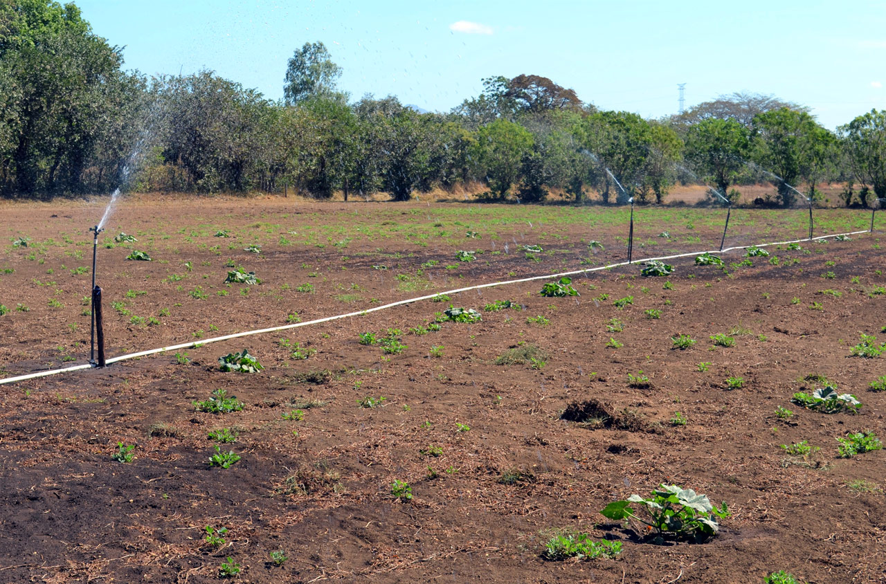 Rolando Pérez Hernández | Solarwerkstatt